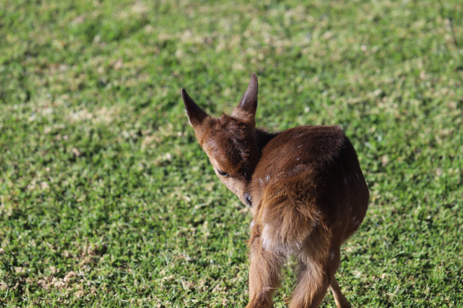 Galery / Gallery – Blue Ridge Estate